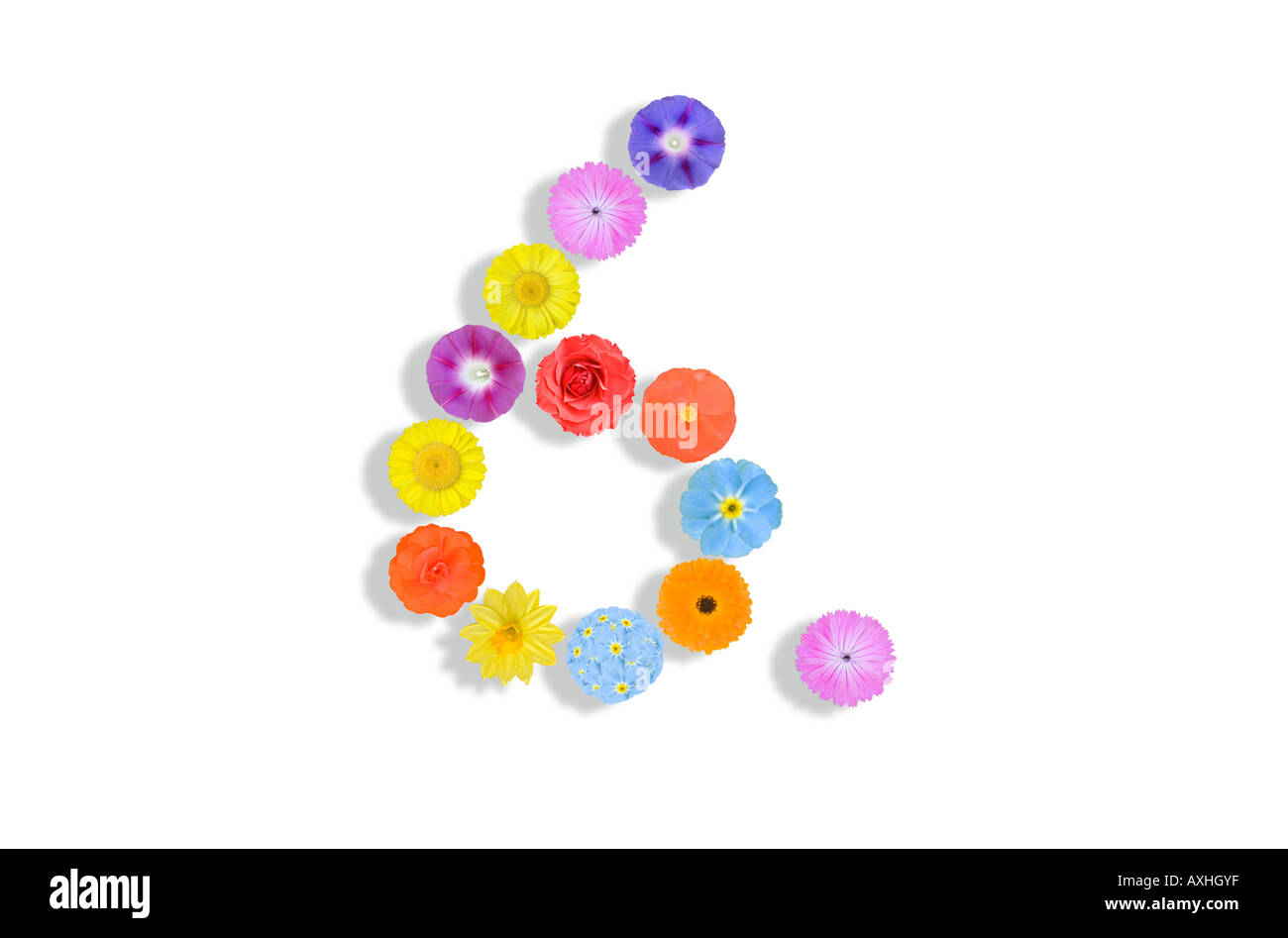 Number written flowers Cut Out Stock Images & Pictures - Alamy