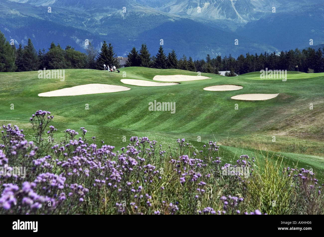 Undulating golf course hi-res stock photography and images - Alamy