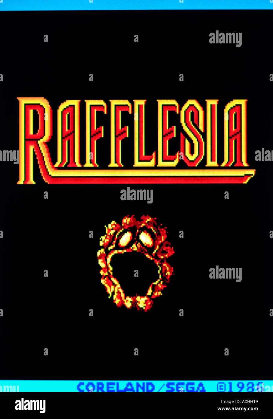 Coreland hi-res stock photography and images - Alamy