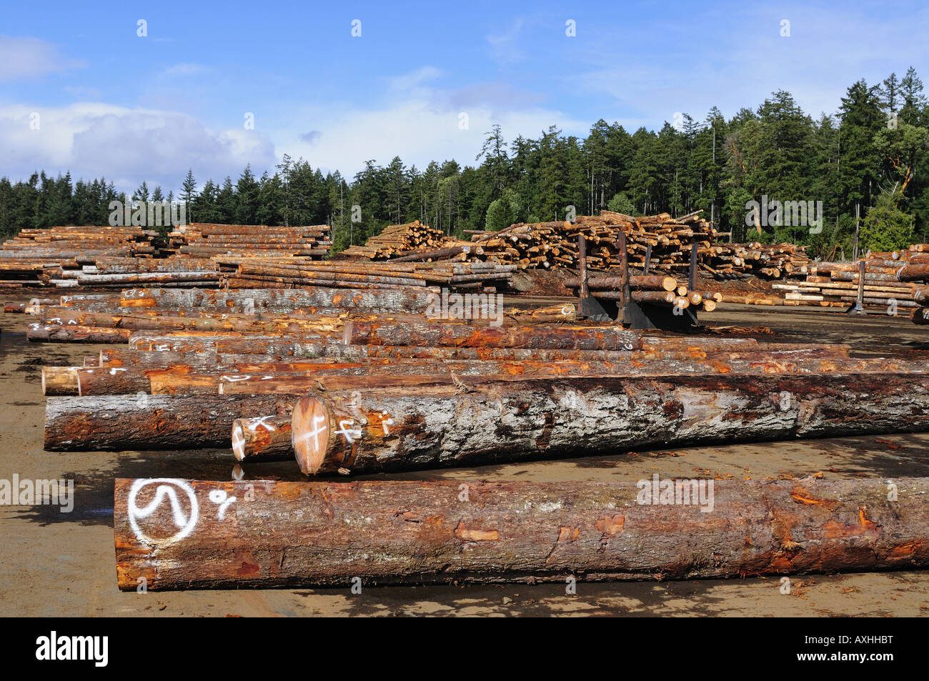 Canadian lumber export hi-res stock photography and images - Alamy
