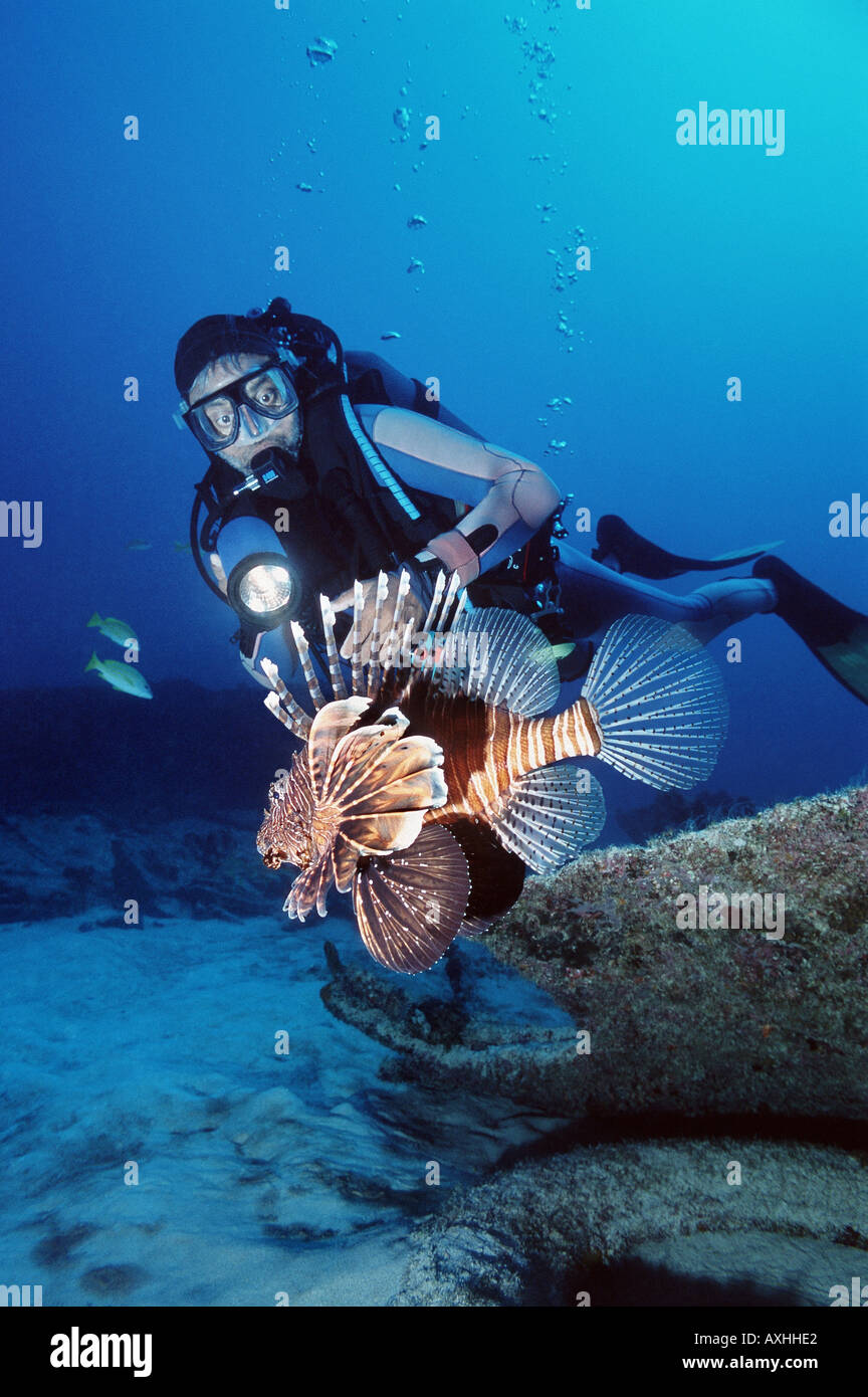 Diver underwater side profile hi-res stock photography and images - Alamy