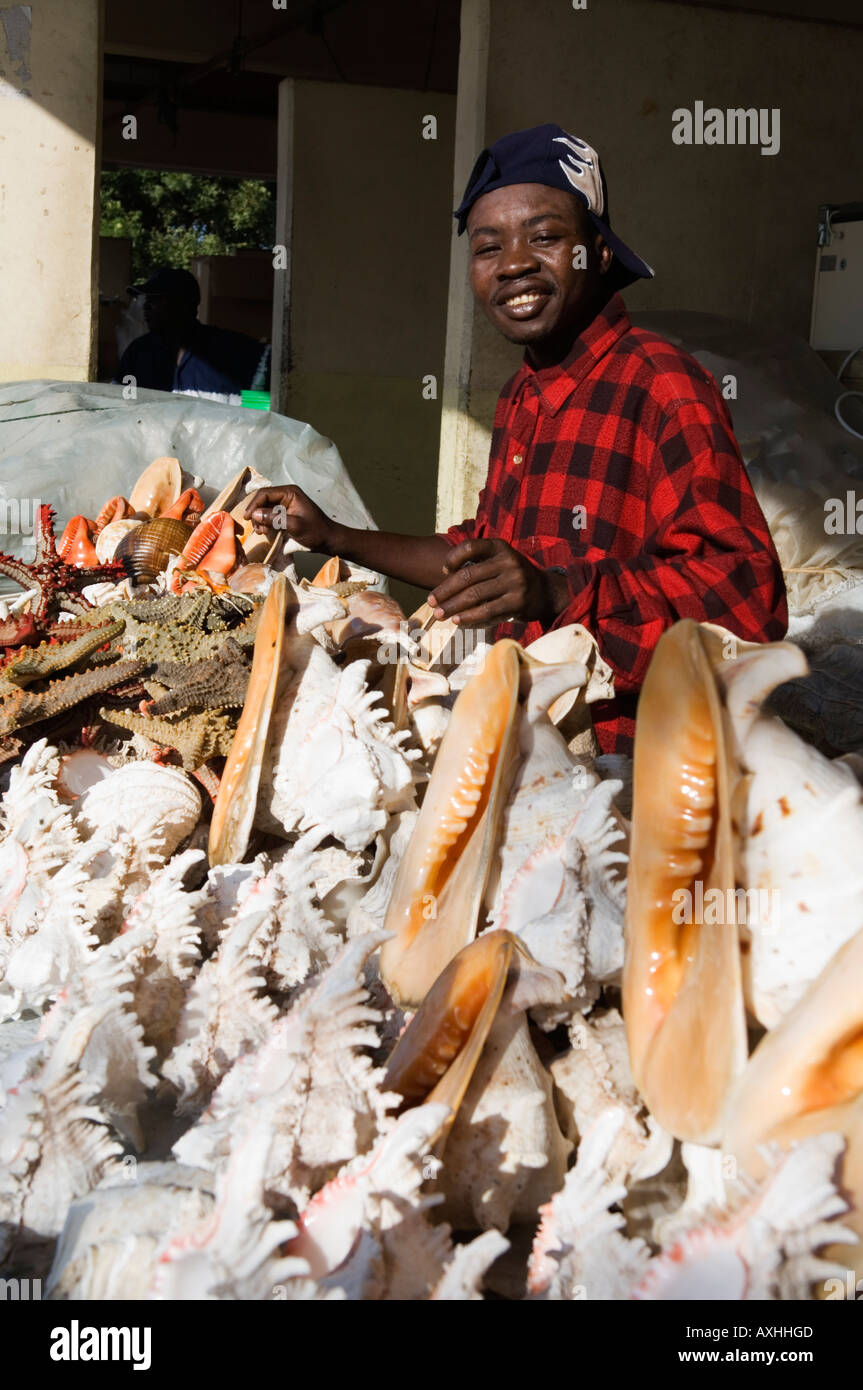 Tanzania Dar es Salaam sea shells for sale Stock Photo - Alamy