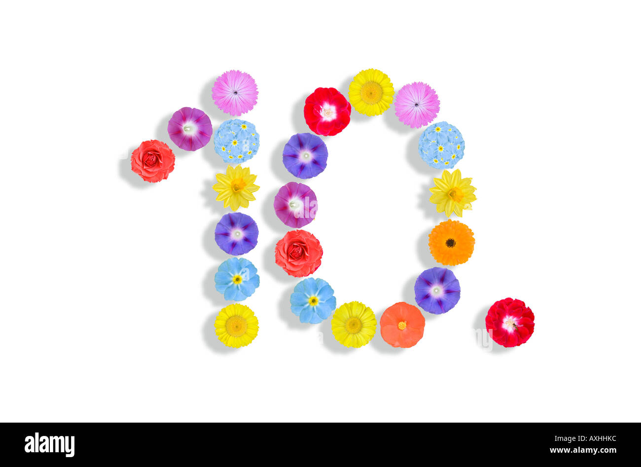 Flowers at number 10 Cut Out Stock Images & Pictures - Alamy