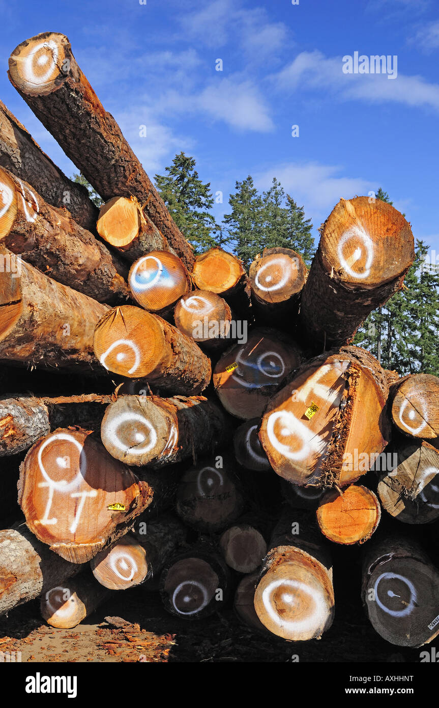 Canadian lumber export hi-res stock photography and images - Alamy
