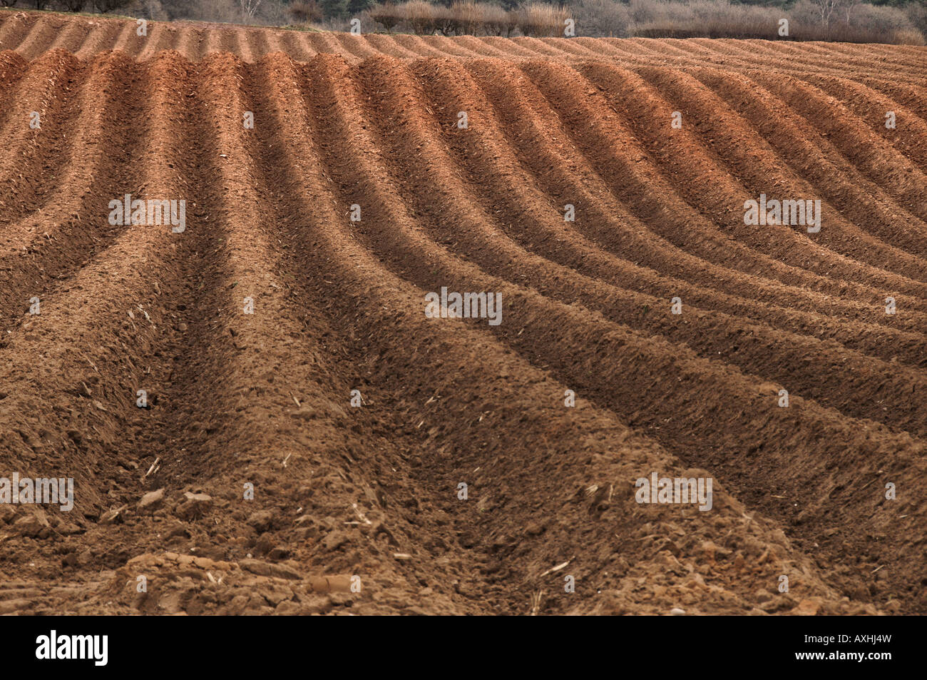 Furrow lines hi-res stock photography and images - Alamy