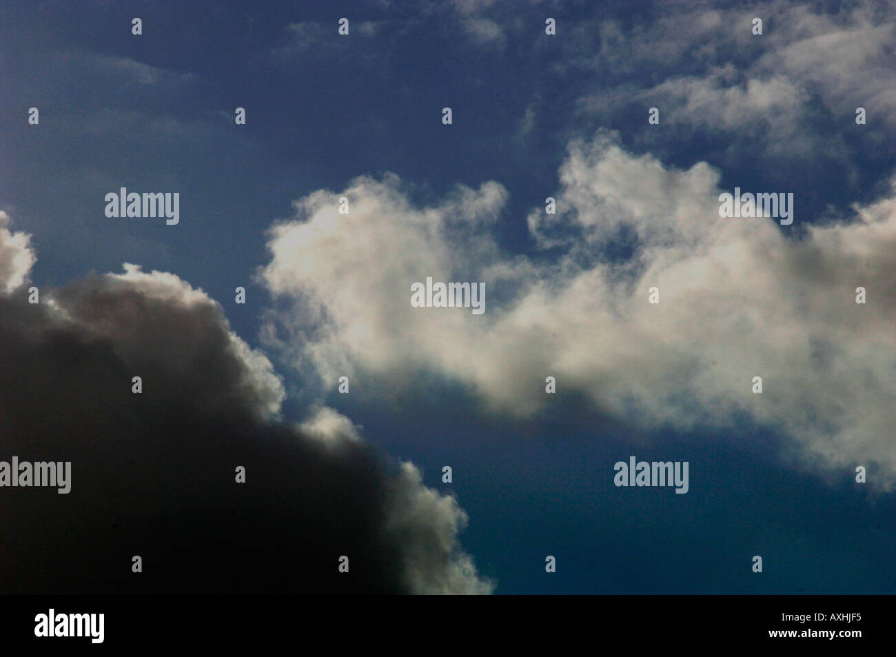 Creatures imaginary hi-res stock photography and images - Alamy