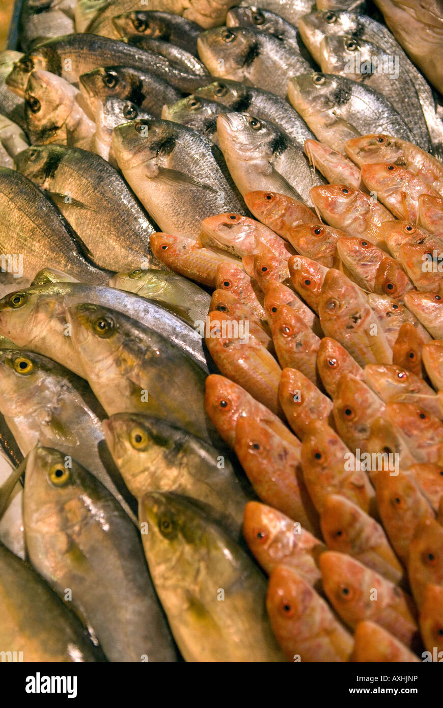 Fish market on road to Tajura, Tripoli, Libya, north Africa Stock Photo ...