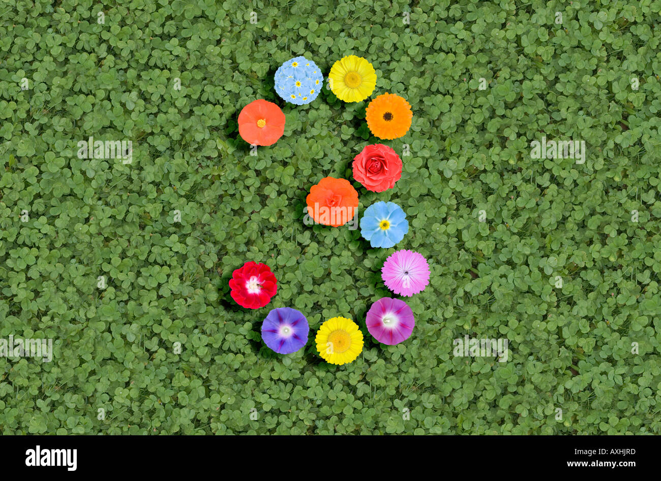numbers written with flowers Stock Photo - Alamy