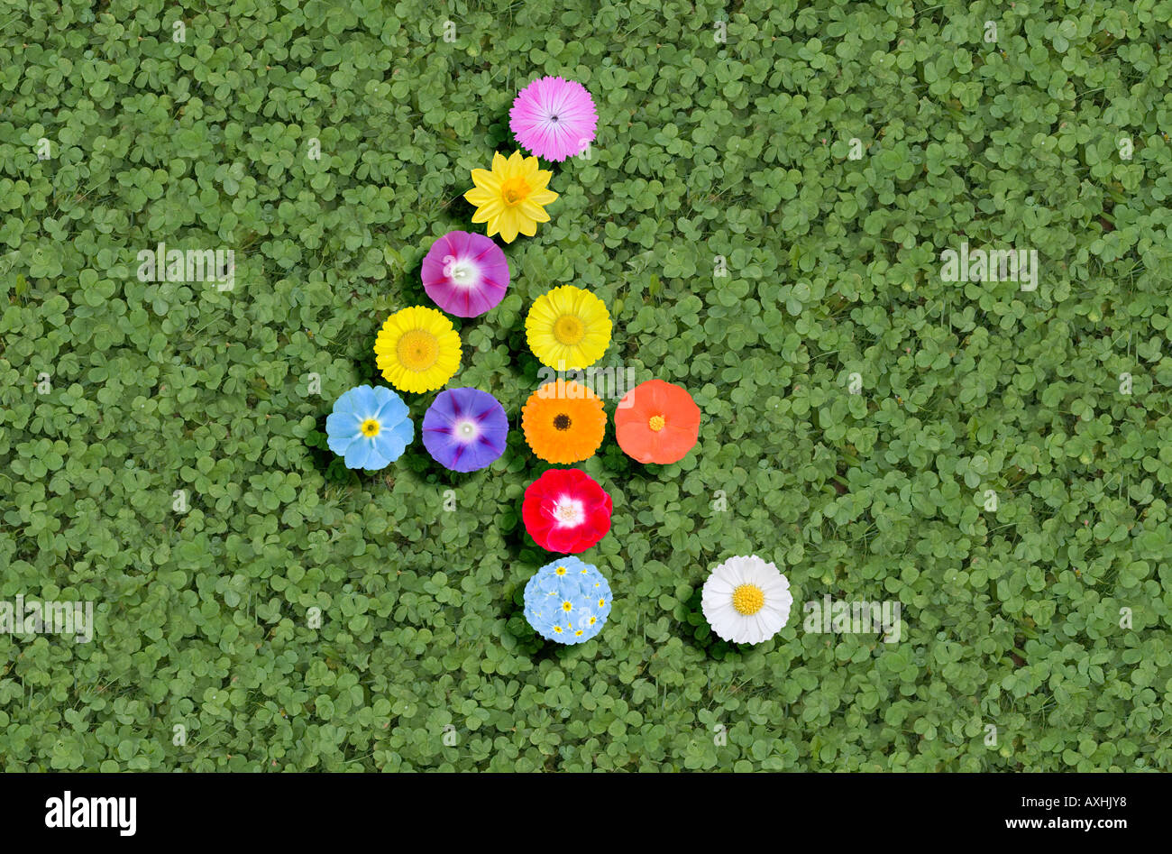 numbers written with flowers 4th Stock Photo - Alamy