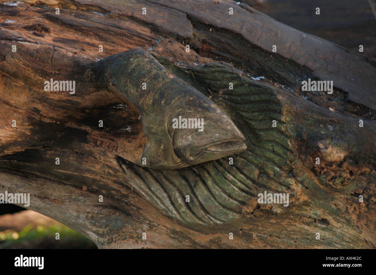 Carved wood fish hi-res stock photography and images - Alamy