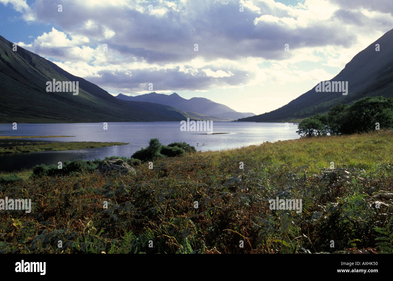 Loch Etive, Scotland, UK Stock Photo - Alamy