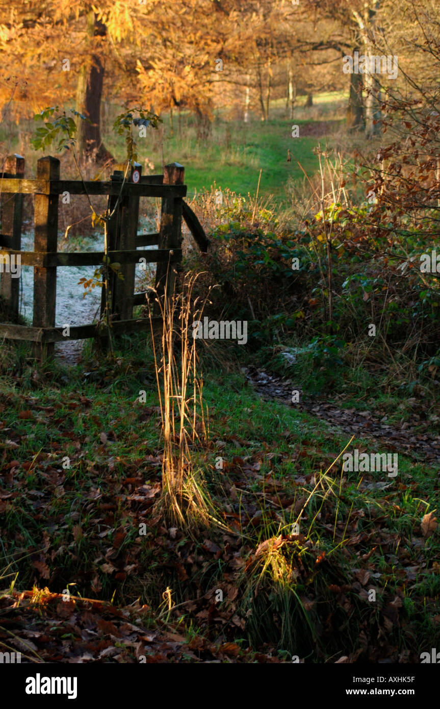 Contrasts in nature hi-res stock photography and images - Alamy