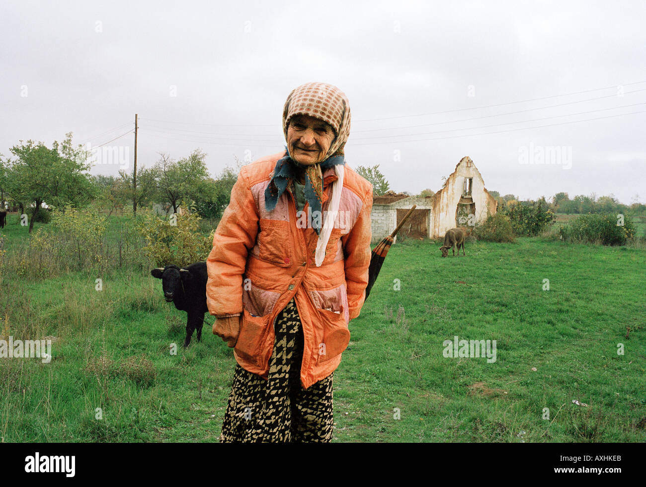 Cow keeper hi-res stock photography and images - Alamy