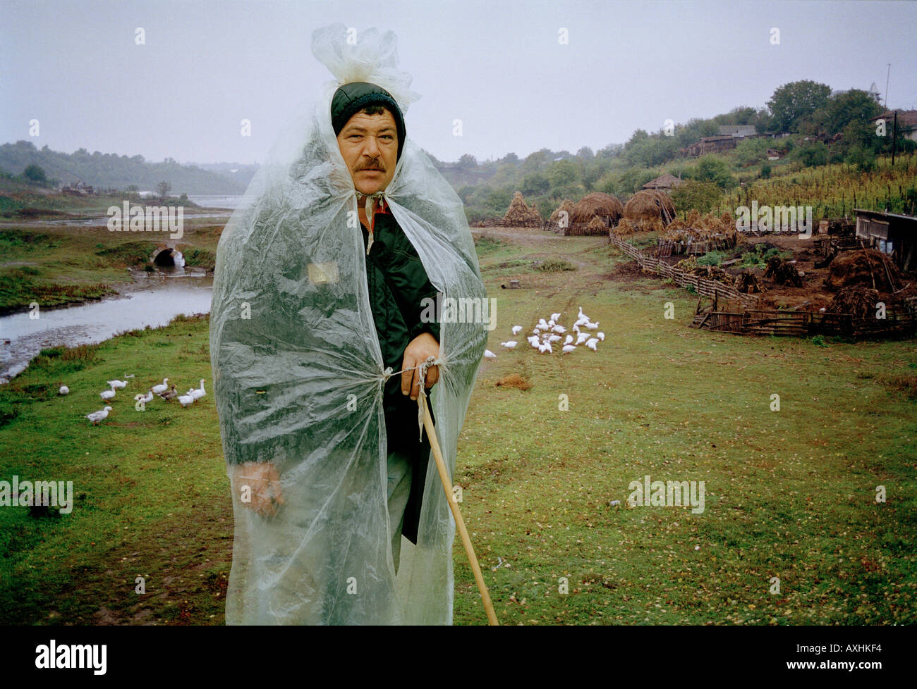Shepherd in Bugaria sheltering from the rain in makeshift polythene ...