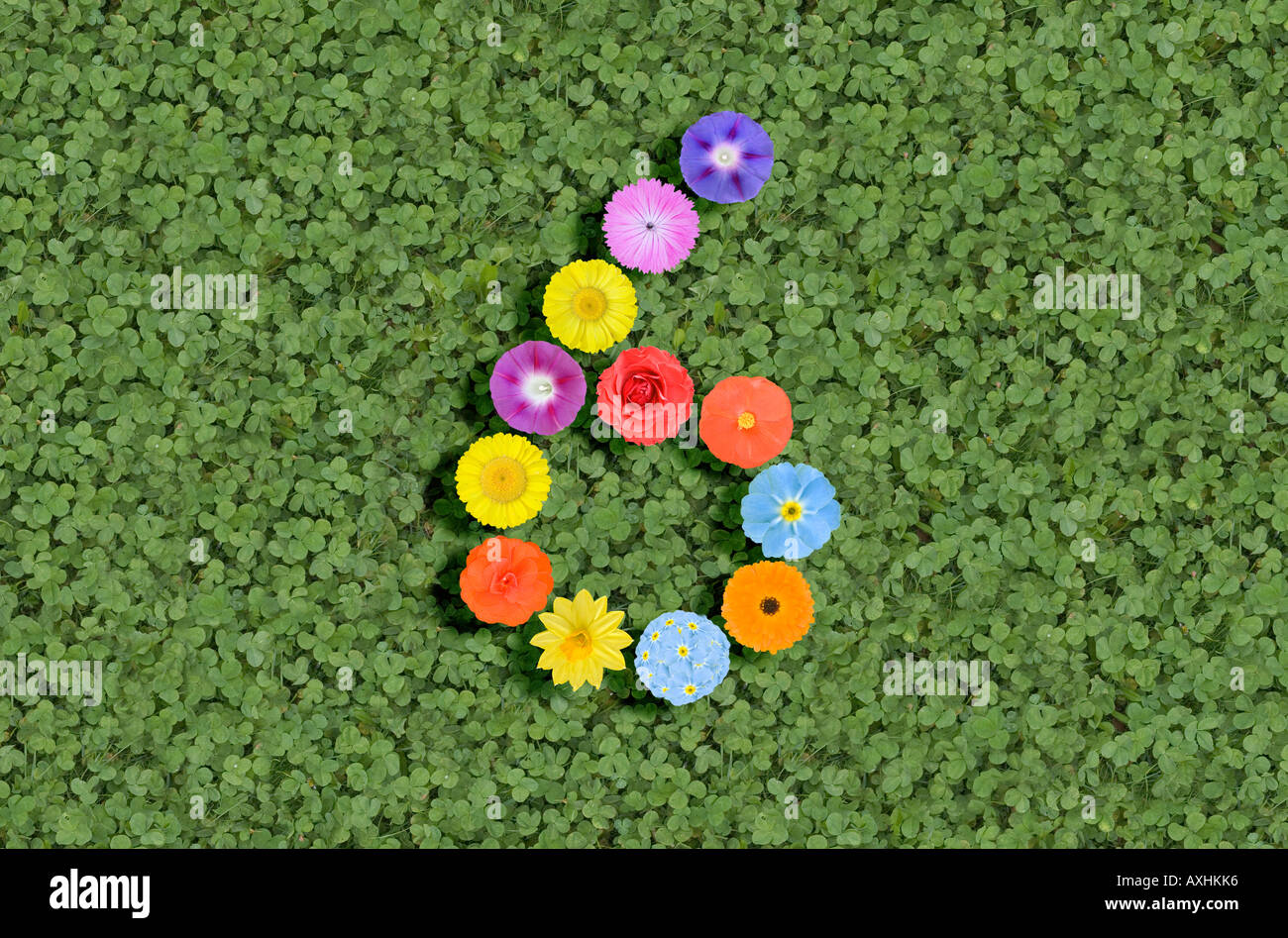 number 6 written with flowers Stock Photo - Alamy