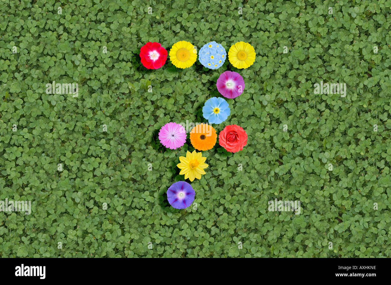 Number written flowers hi-res stock photography and images - Alamy