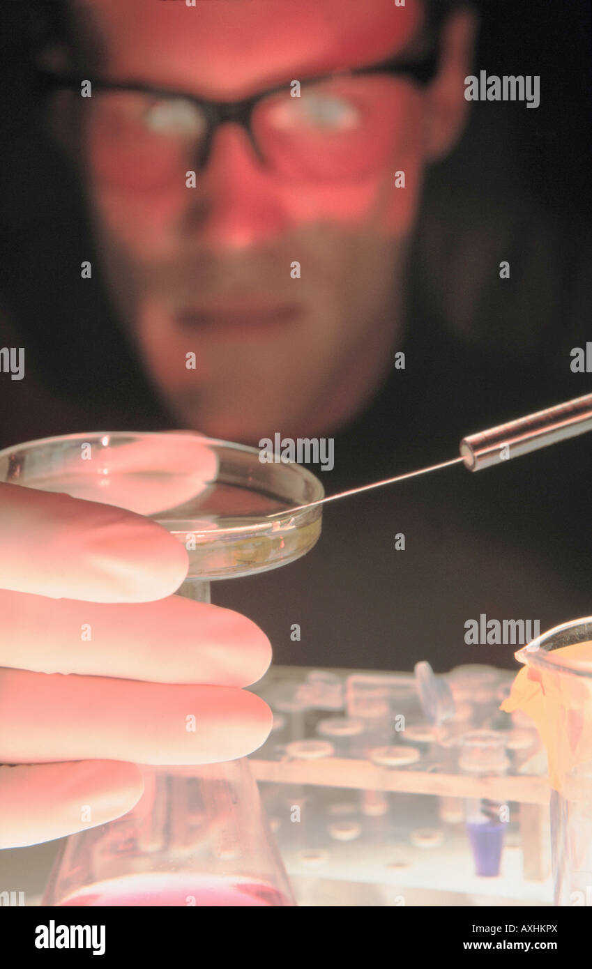 researcher extracting modified DNA from sample Stock Photo - Alamy