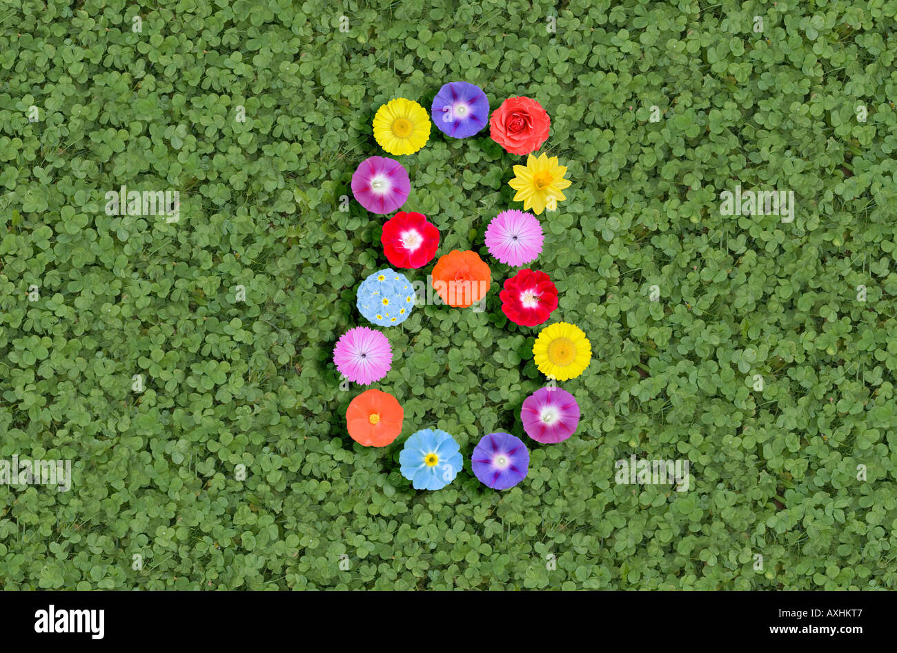 number 8 written with flowers Stock Photo - Alamy