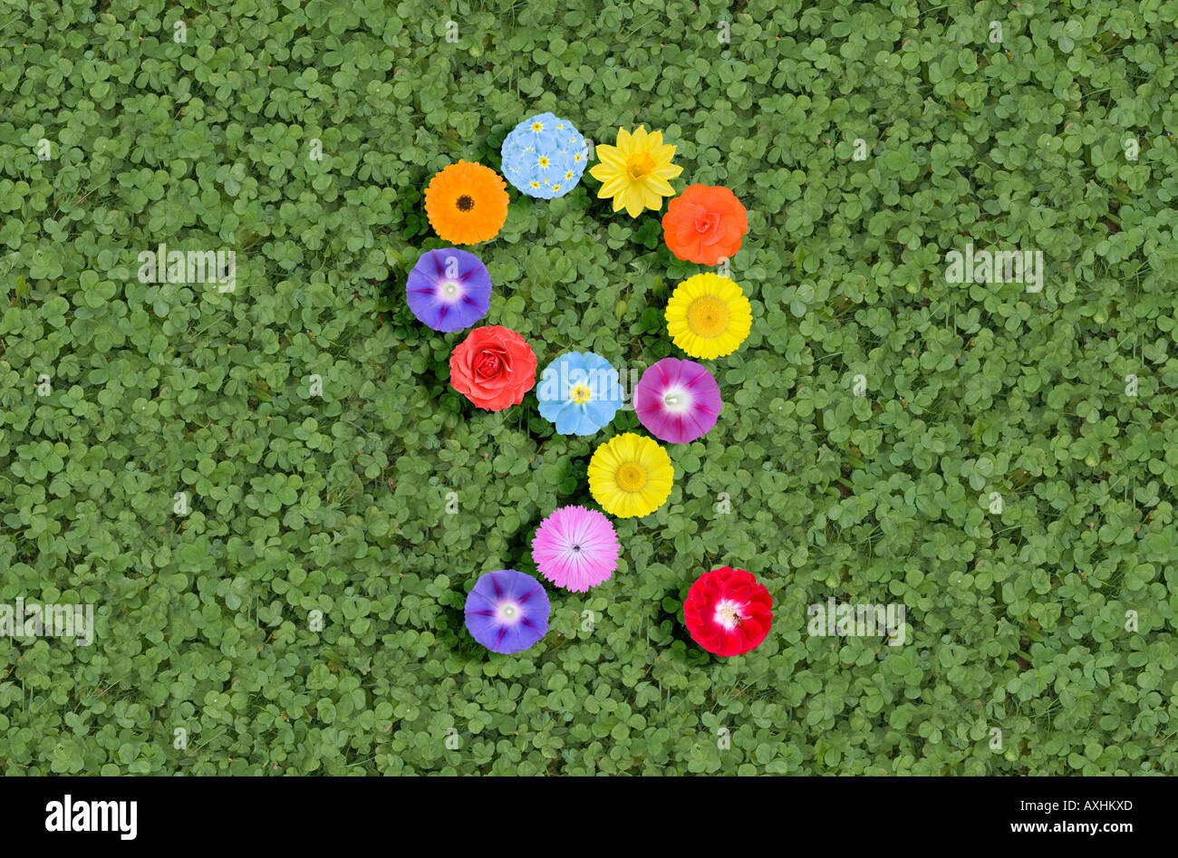 Number 9 flowers hi-res stock photography and images - Alamy