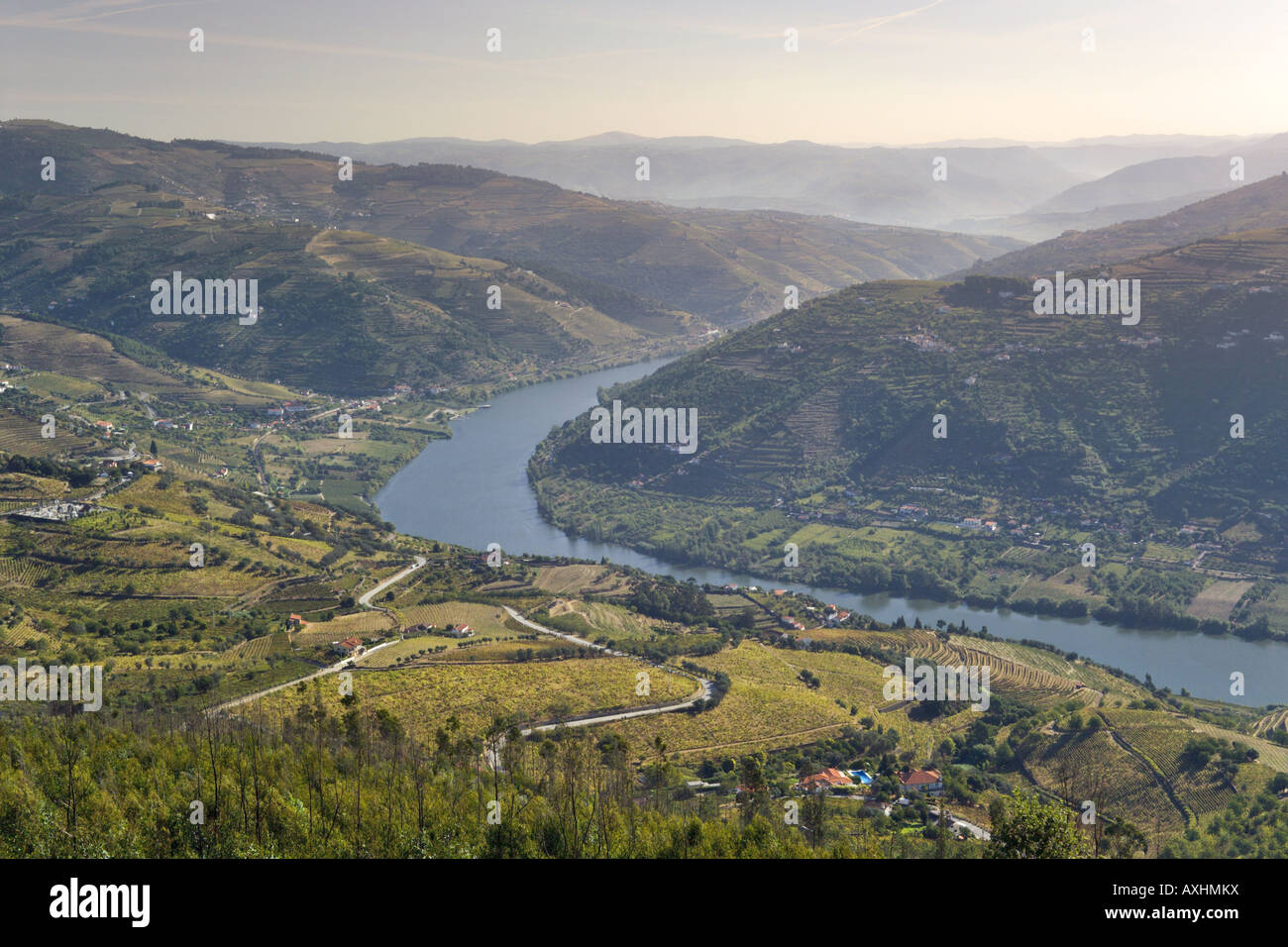Portugal, the Alto Douro region, Douro river and vineyards at Mesao ...