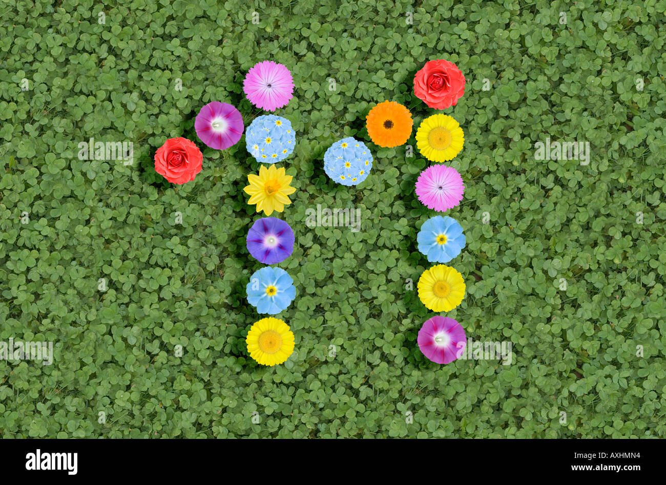 number 11 written with flowers Stock Photo - Alamy
