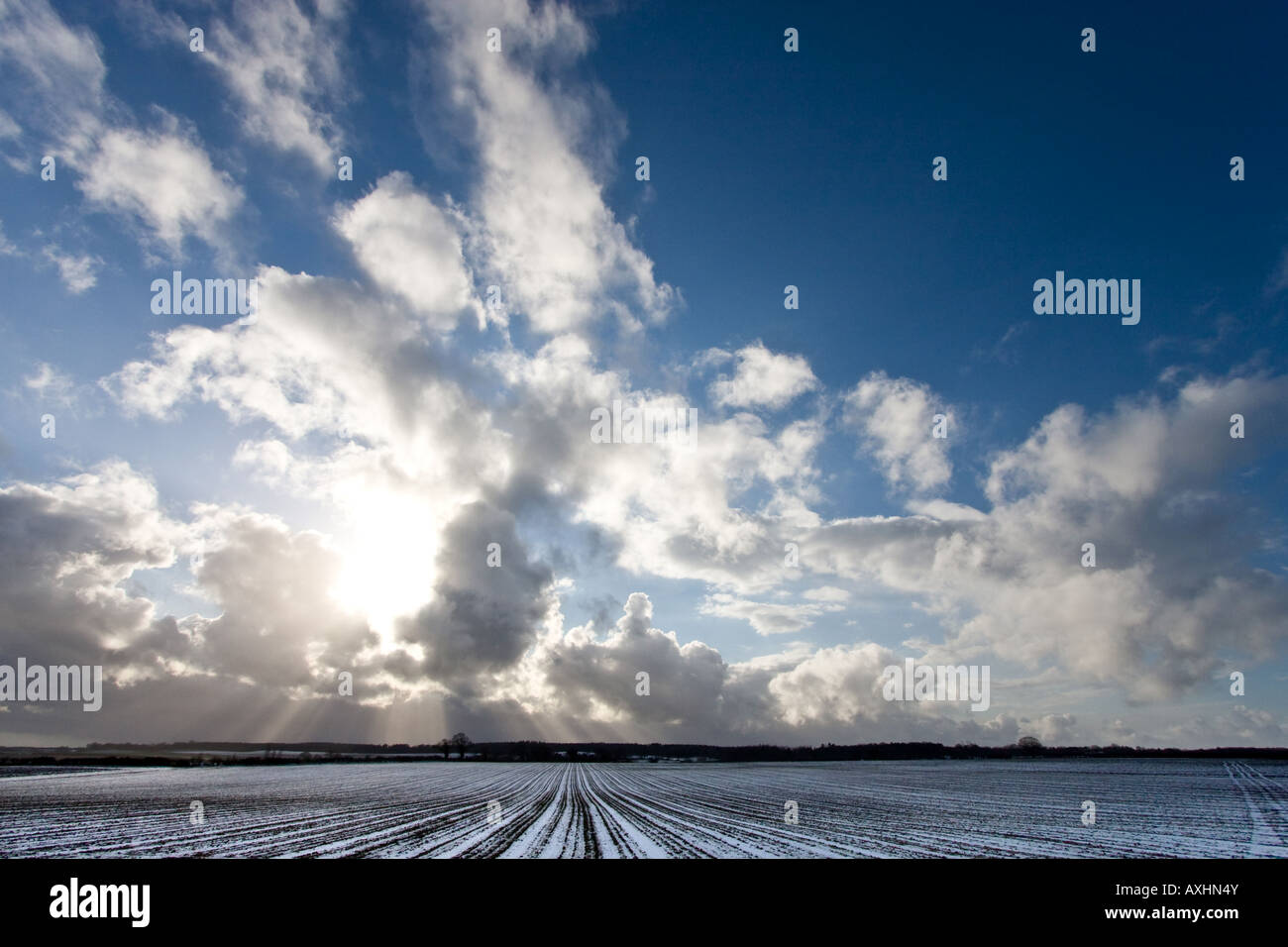 Deep furrows hi-res stock photography and images - Alamy