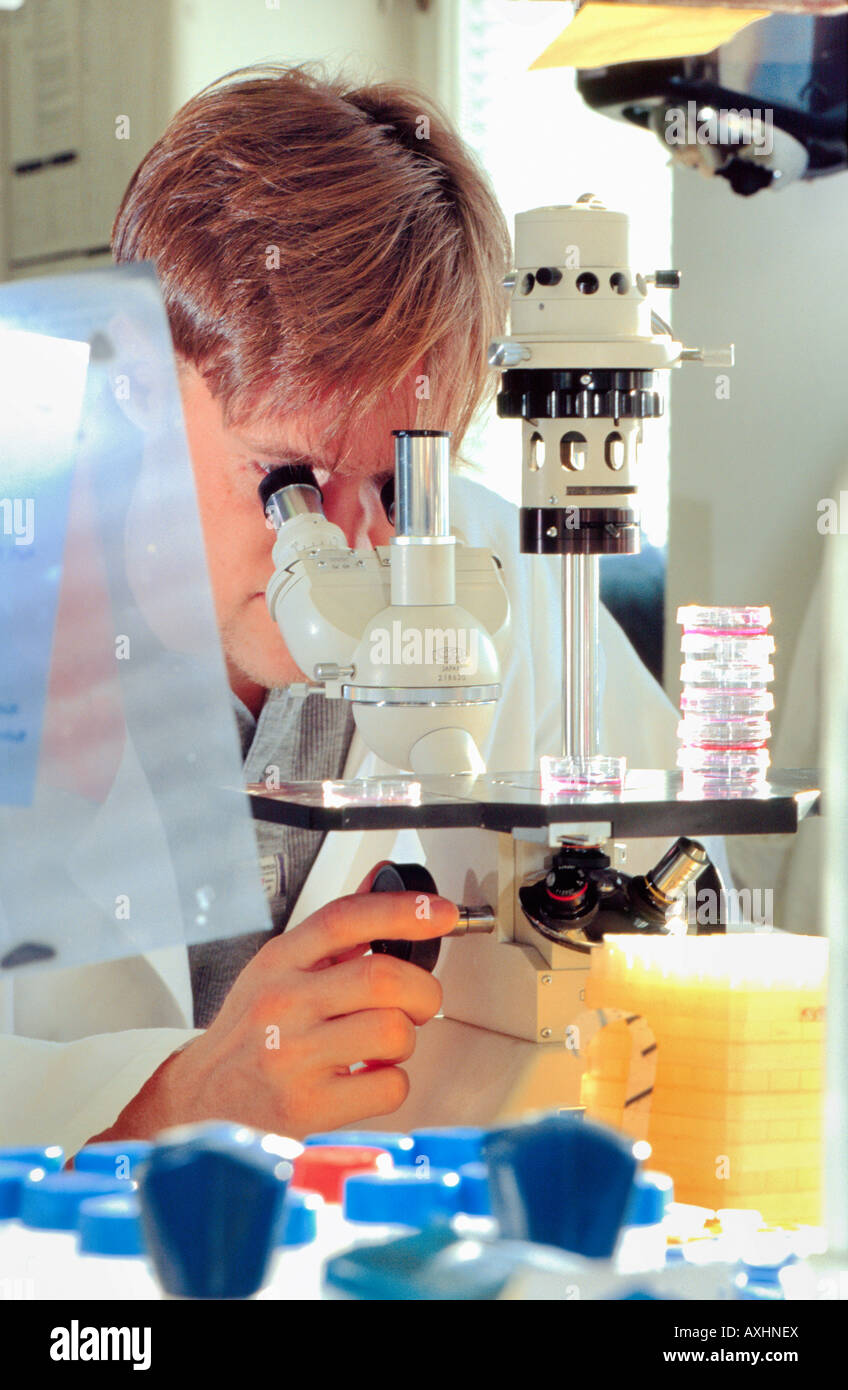 scientist researcher analyzing cancer cells in light microscope Stock ...
