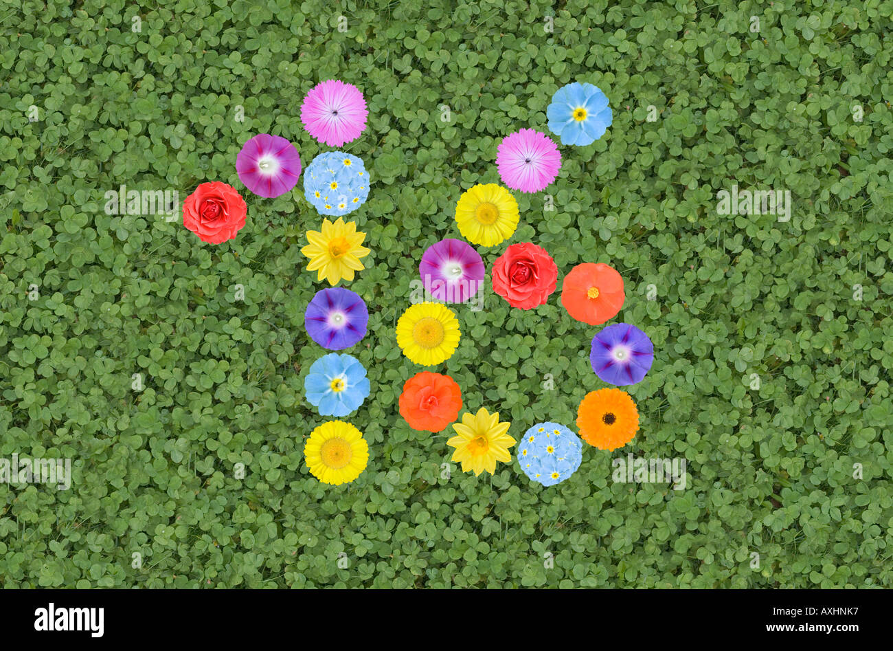 number 16 written with flowers Stock Photo - Alamy