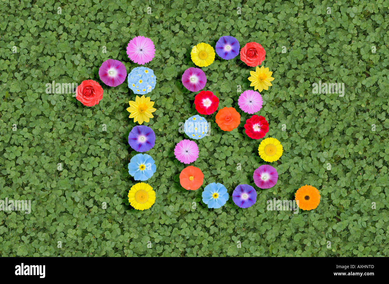 number written with flowers 18th Stock Photo - Alamy