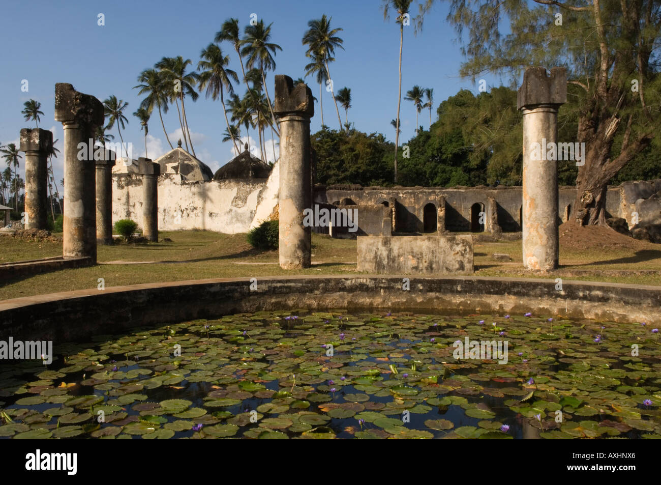 Tanzania Zanzibar Stone Town Maruhubi Palace was built in 1882 for ...