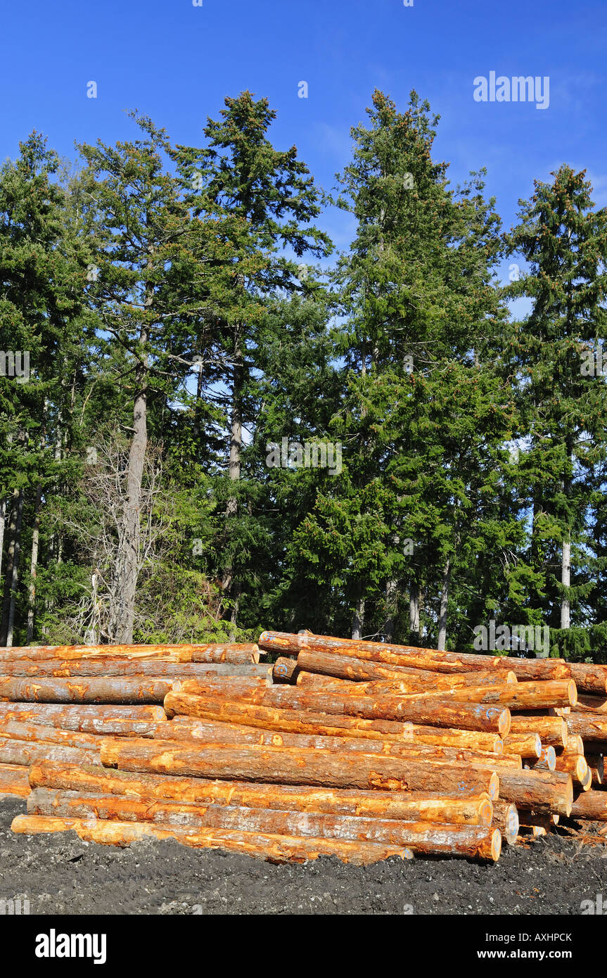 Forestry concerns hi-res stock photography and images - Alamy