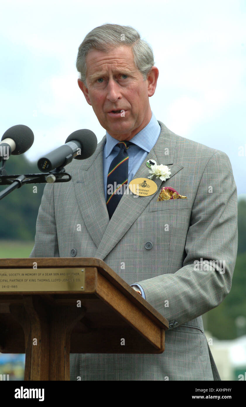 Prince of wales charles speech hi-res stock photography and images - Alamy