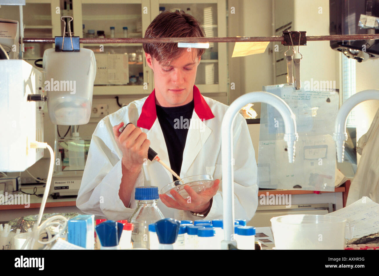 genetic engineering scientist isolating cancer cells from growth medium ...