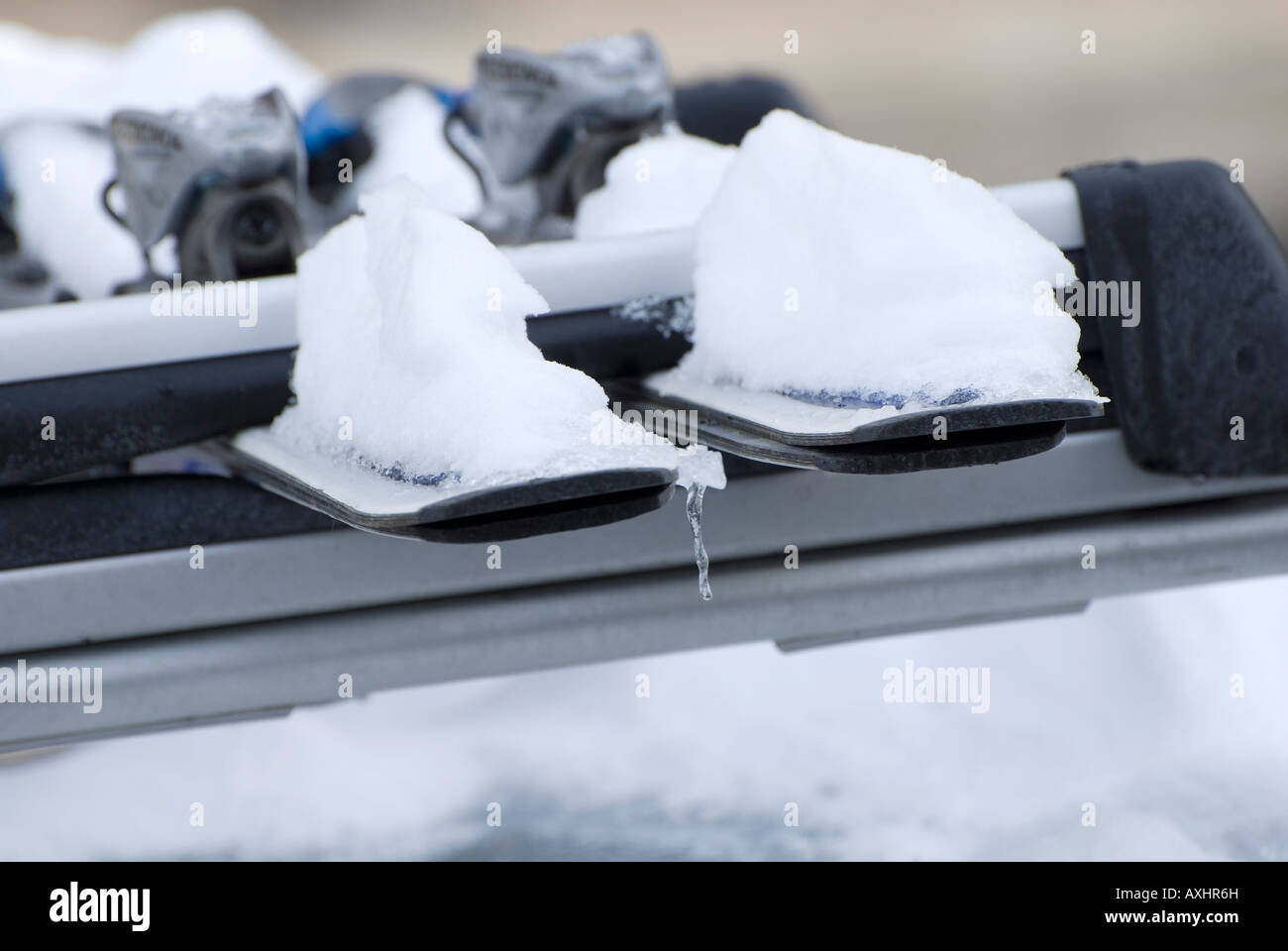 Pair of skis on car roof rack hi-res stock photography and images - Alamy