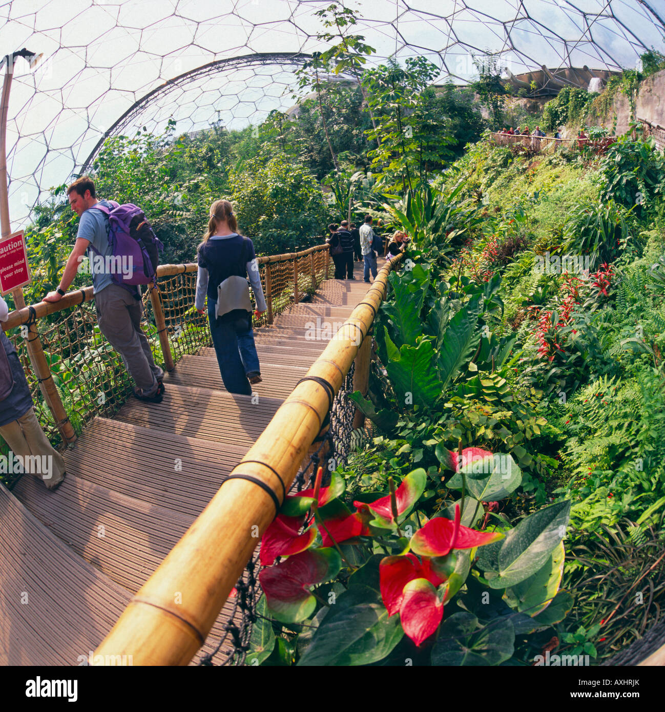 Very wide angle fisheye lens view of people inside Humid Tropics Biome ...