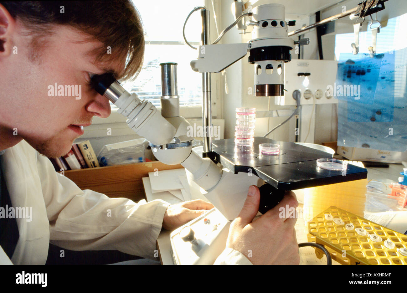 Cancer researcher hi-res stock photography and images - Alamy