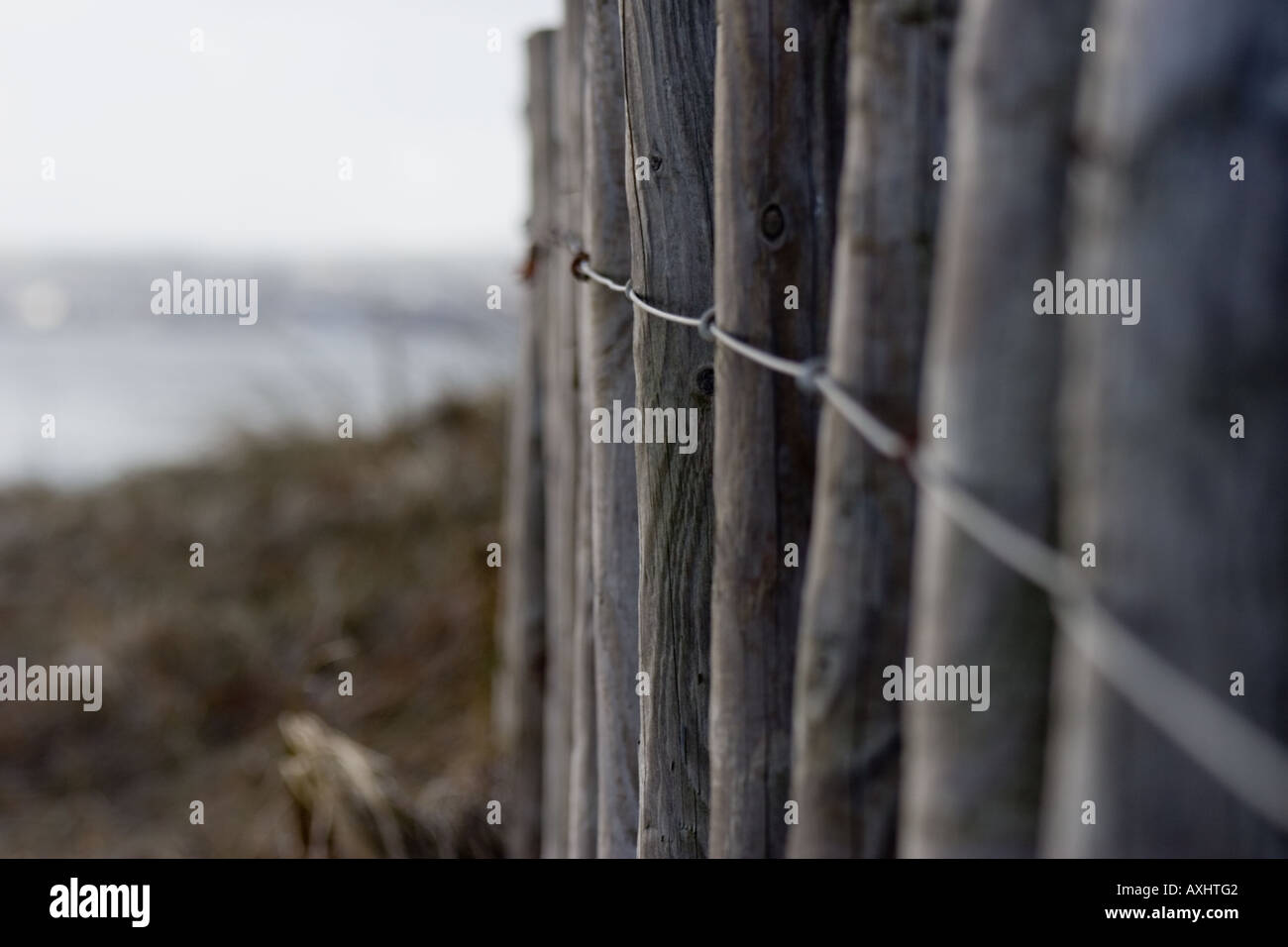 Perspective view of a row of timber fence posts on a beach Stock Photo ...