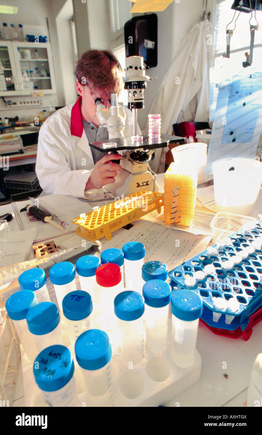 scientist researcher analyzing cancer cells in light microscope Stock ...