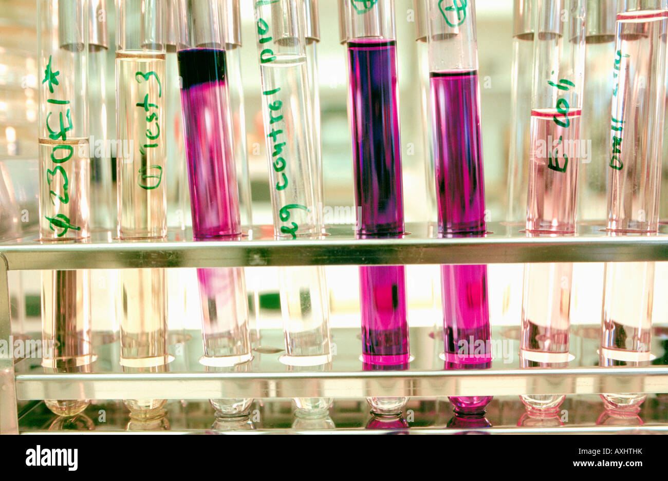 screening samples for virus and bacteria Stock Photo - Alamy