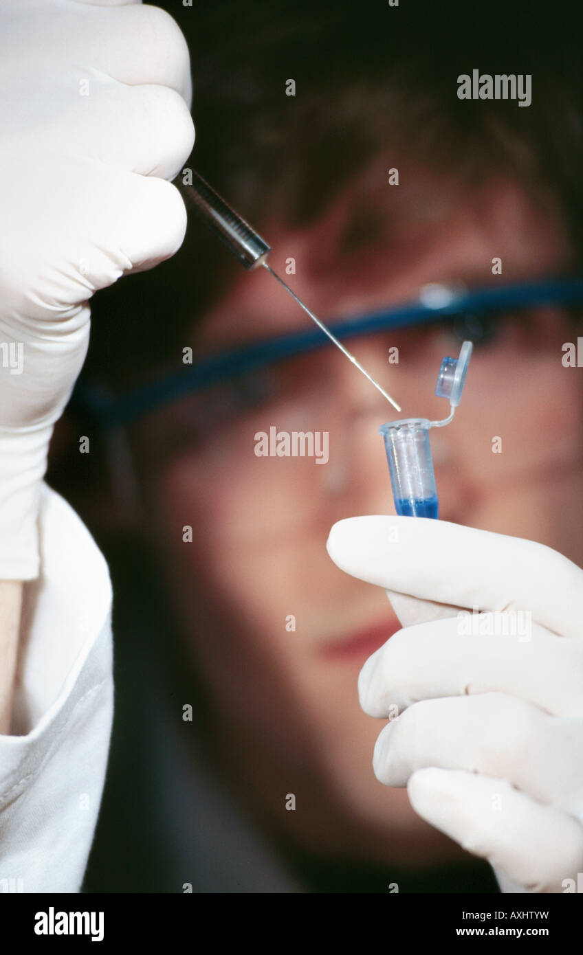 genetic engineering researcher extracting DNA from sample Stock Photo ...