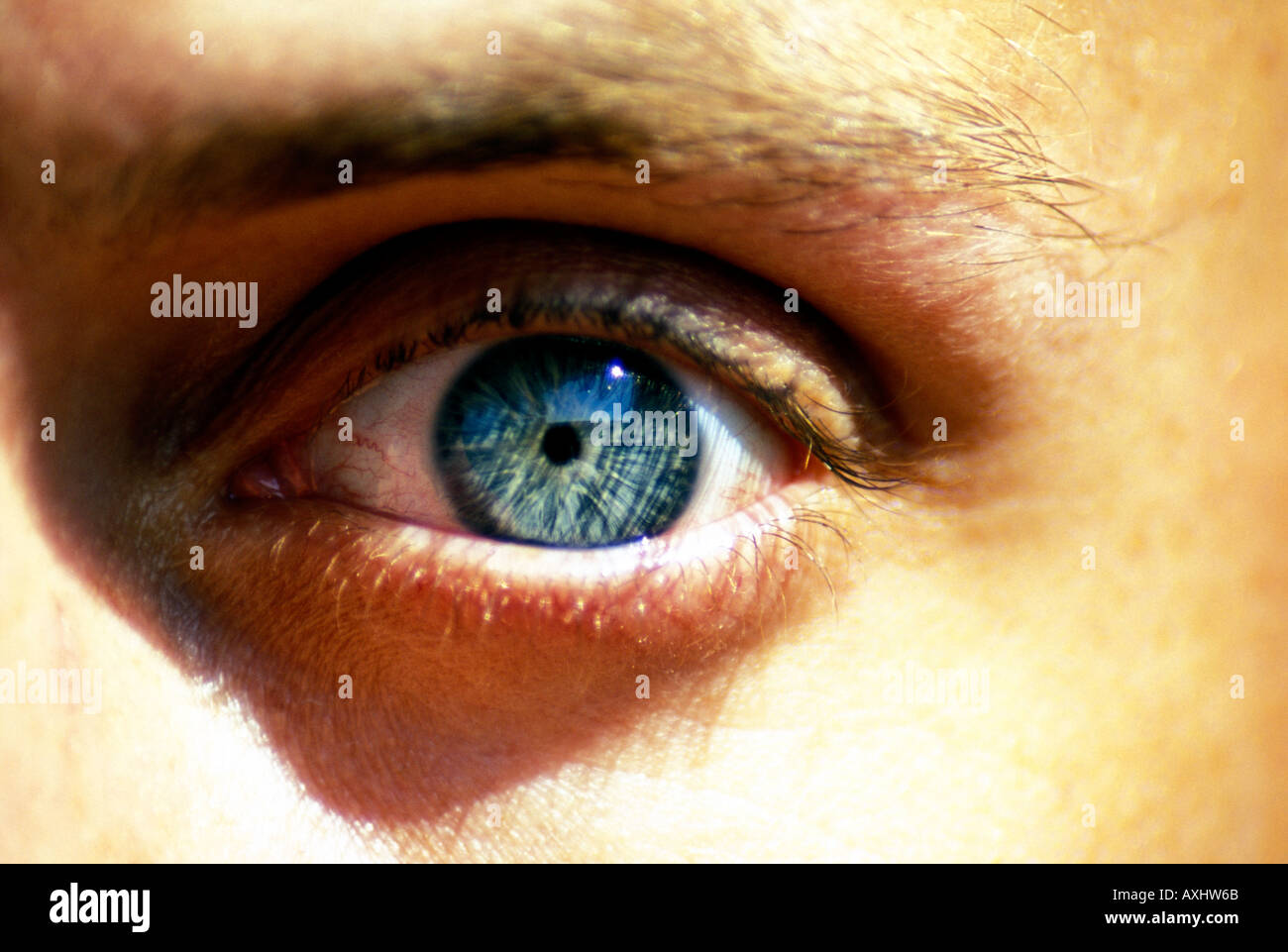 Human wide open blue eye hi-res stock photography and images - Alamy