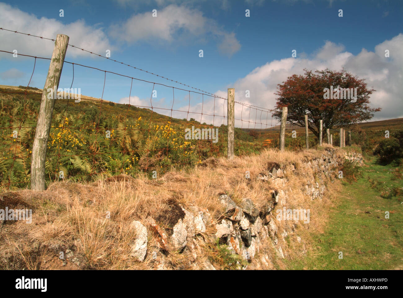 Lyd valley Devon UK Stock Photo - Alamy