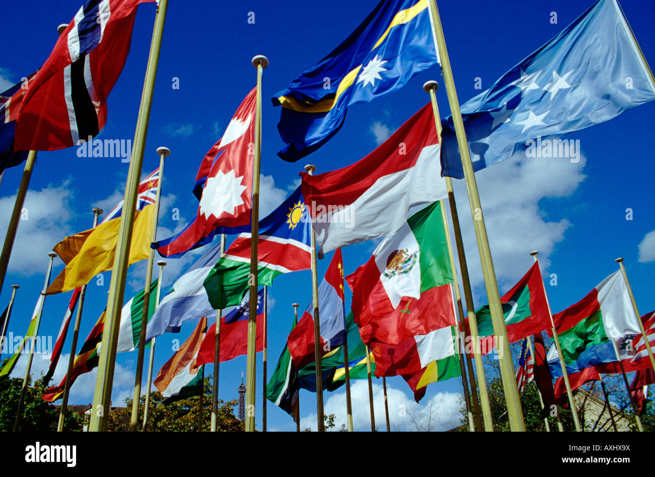 Flags from member countries During the General Conference at UNESCO ...