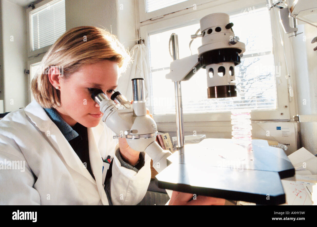 scientist researcher analyzing cancer cells in light microscope Stock ...