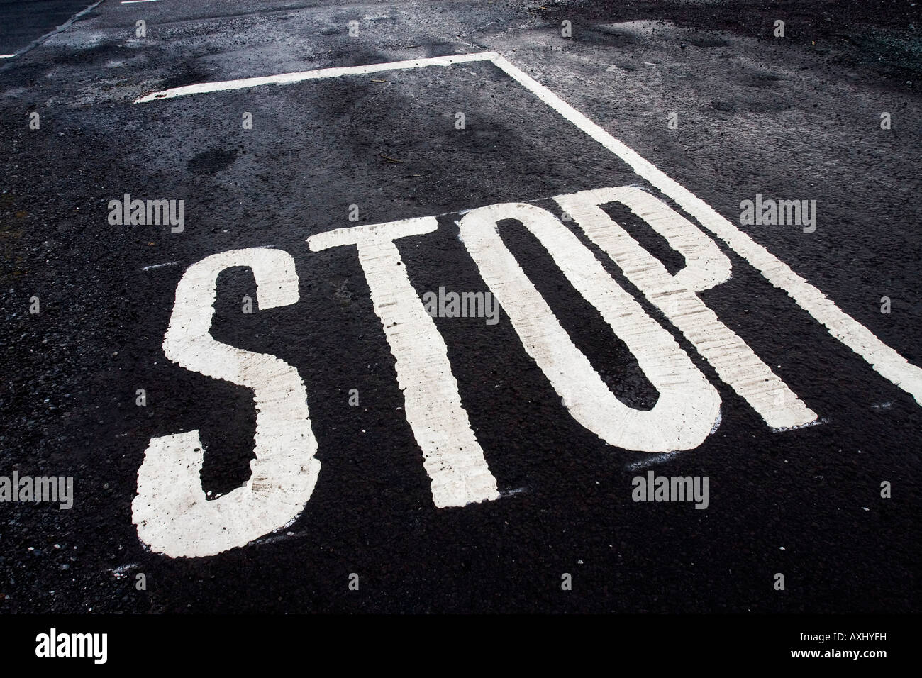 Stop road markings at a junction Stock Photo - Alamy