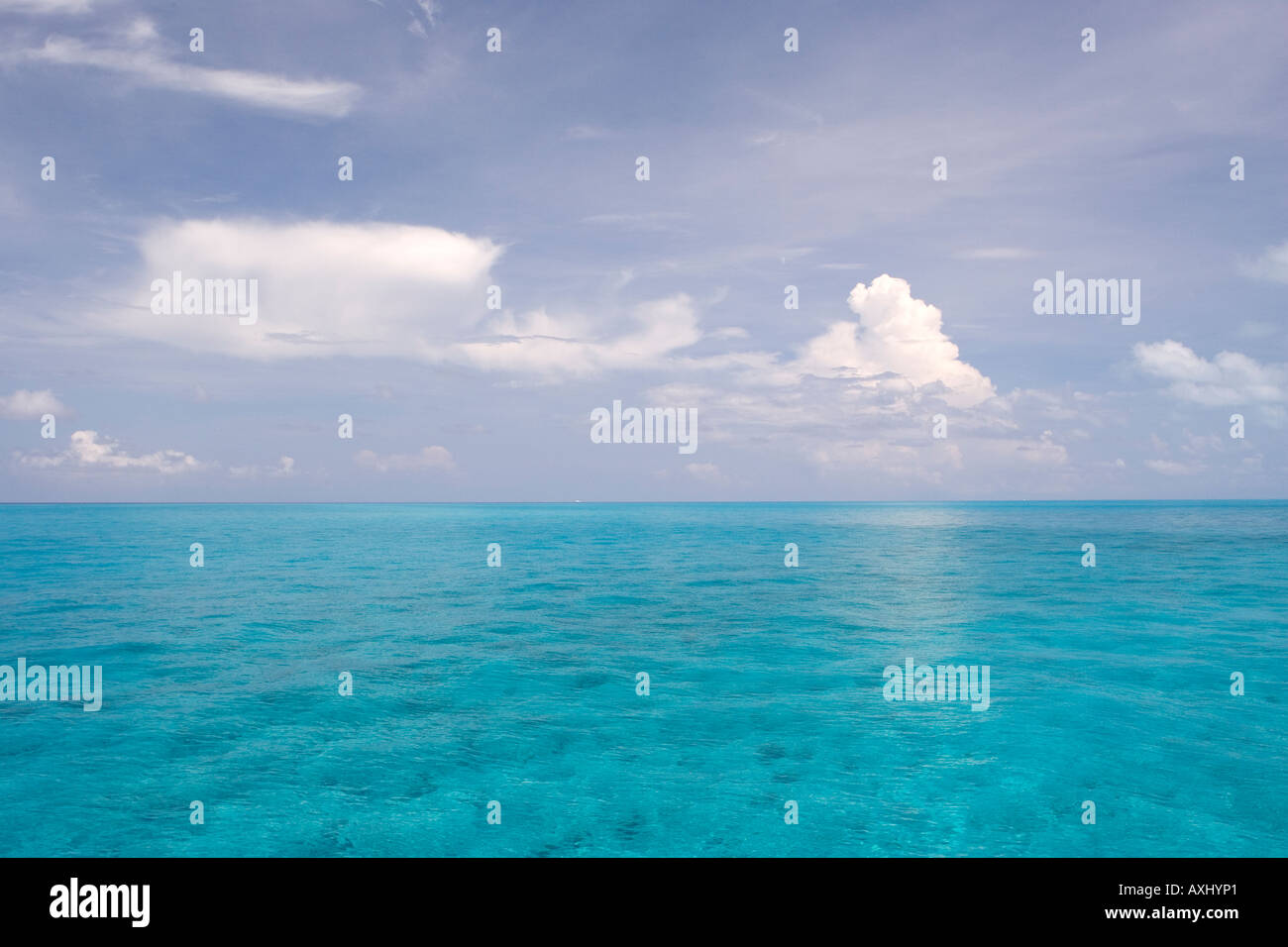 Ocean Surface Horizon