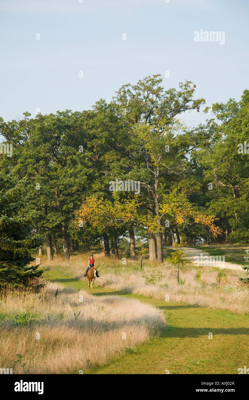 ILLINOIS Woman riding horse on mowed grass trail at Raven Glen forest ...