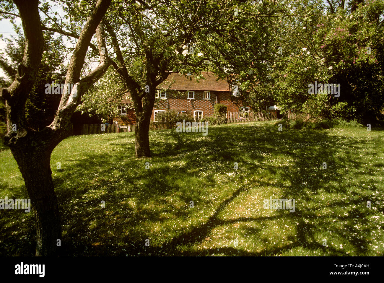 Ewelme, Oxfordshire Stock Photos & Ewelme, Oxfordshire Stock Images - Alamy