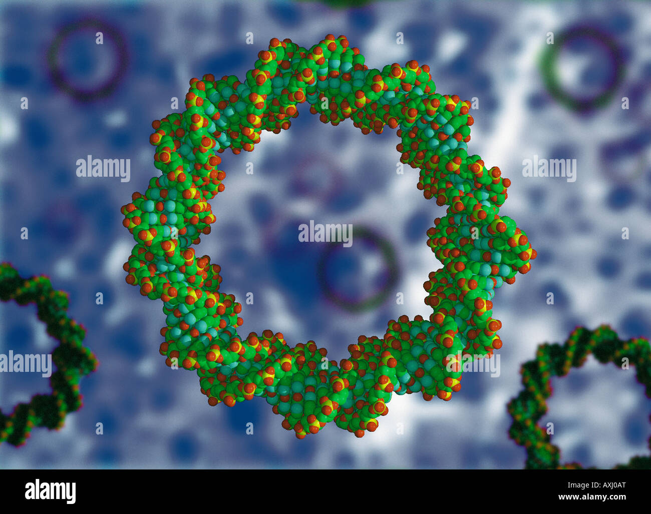 Plasmids hi-res stock photography and images - Alamy