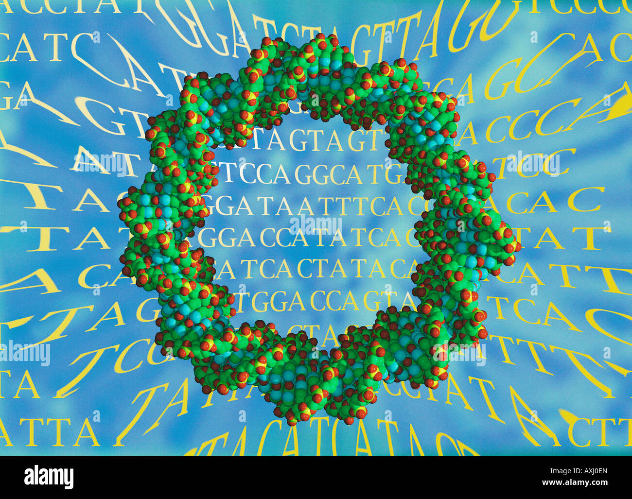 circular DNA plasmid used in gene therapy and cloning of genes Stock ...